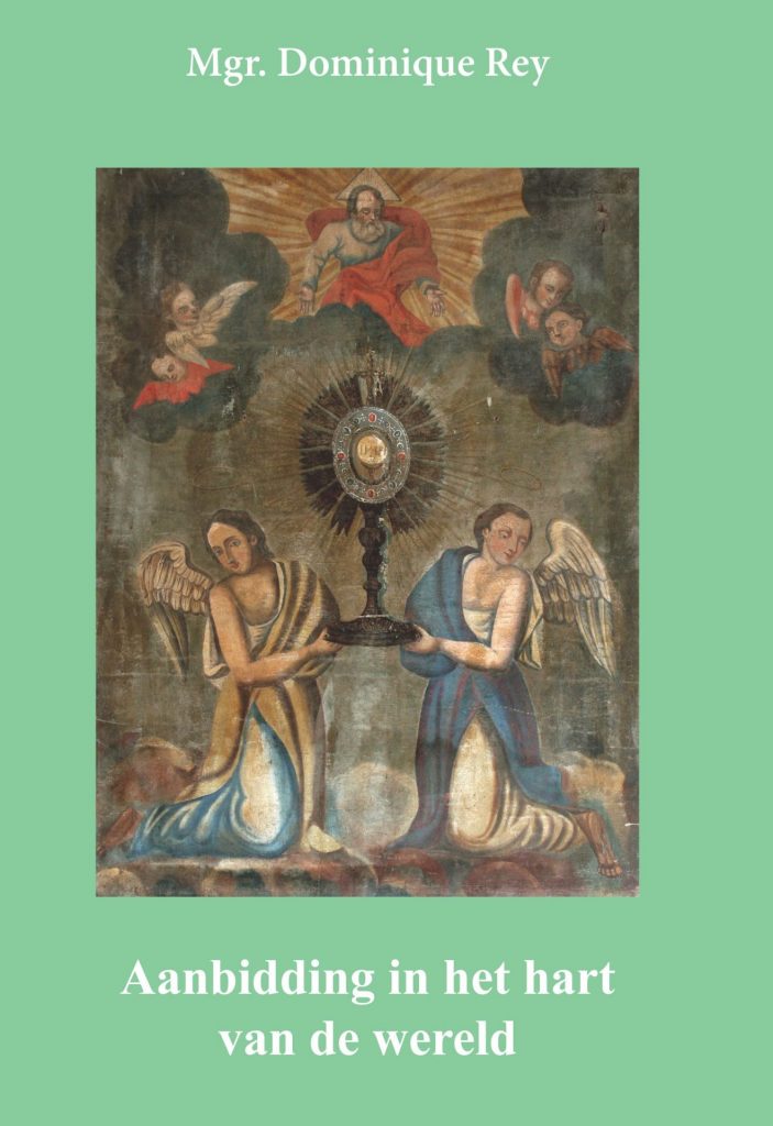 De aanbidding in het hart van de wereld (e-book) - De Boog Uitgeverij
